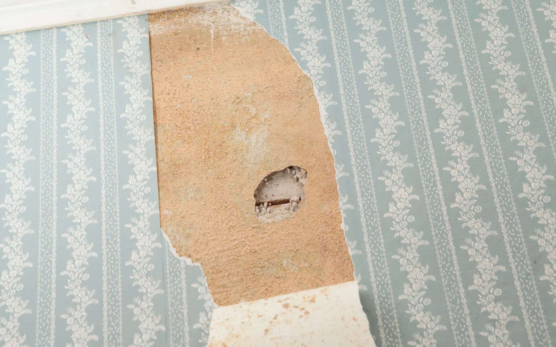 Bauschutt: Alles über das richtige Entsorgen - Obolus Group